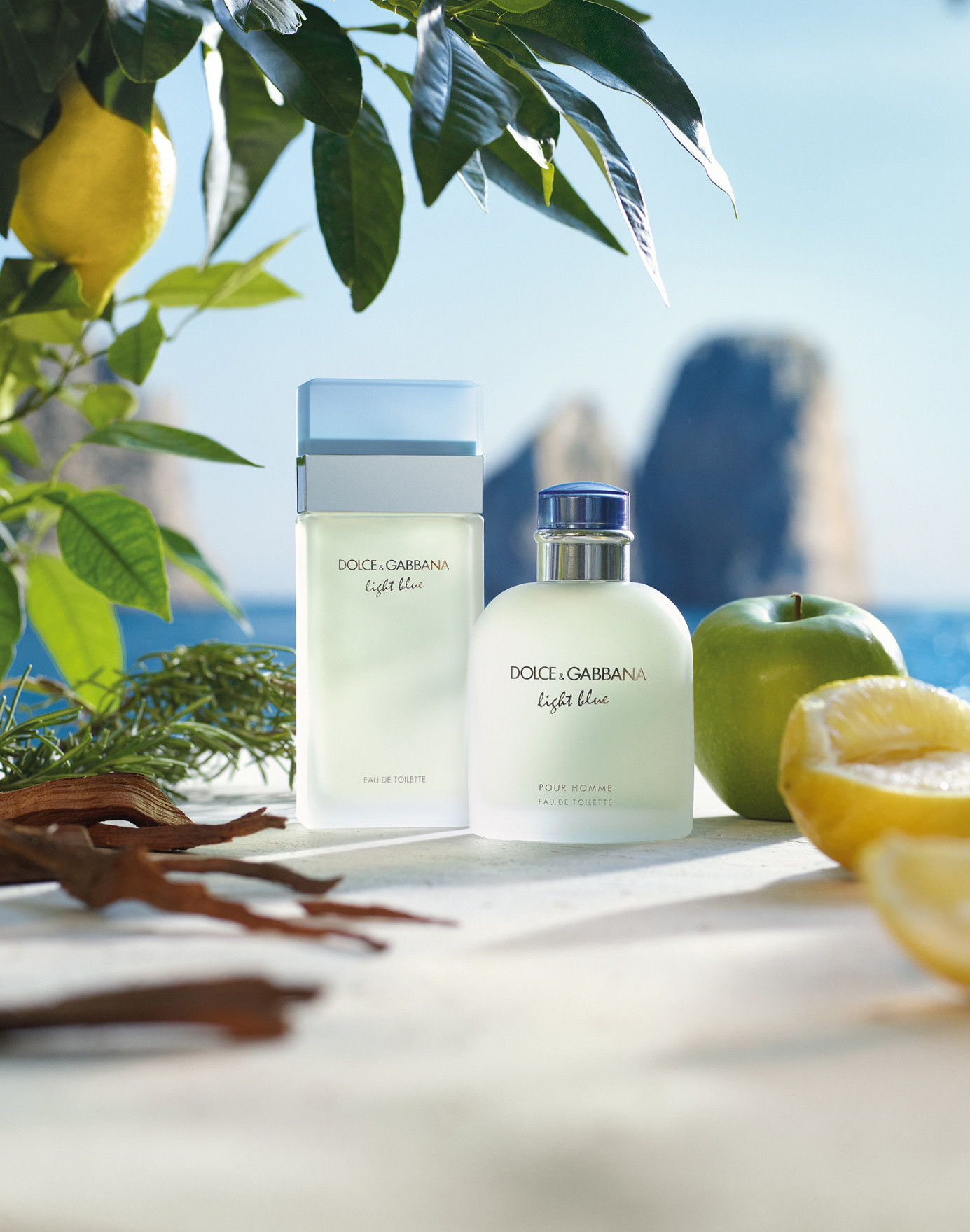 Dolce&Gabbana Light Blue Women's Perfumes | Beauty online shop